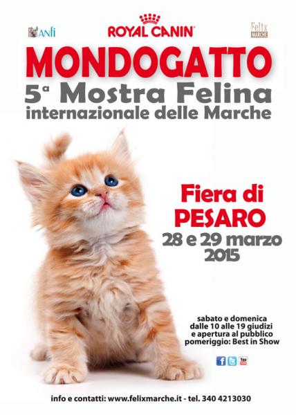 MONDOGATTO, Pesaro PU, 28/03/2015 - Marche in Festa